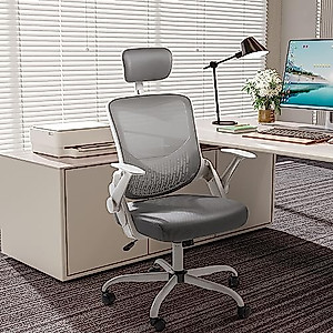 Furmax Office Chair Mesh Desk Chair Ergonomic Chair with Adjustable Headrest and Flip-up Armrests, Swivel Computer Chair with Comfortable Back and Lumbar Suport (Grey)