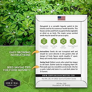 Survival Garden Seeds - Fenugreek Seed for Planting - Packet with Instructions to Plant & Grow Samudra Methi in Your Home Vegetable Garden - Non-GMO Heirloom Variety - Good Microgreens or Sprouts