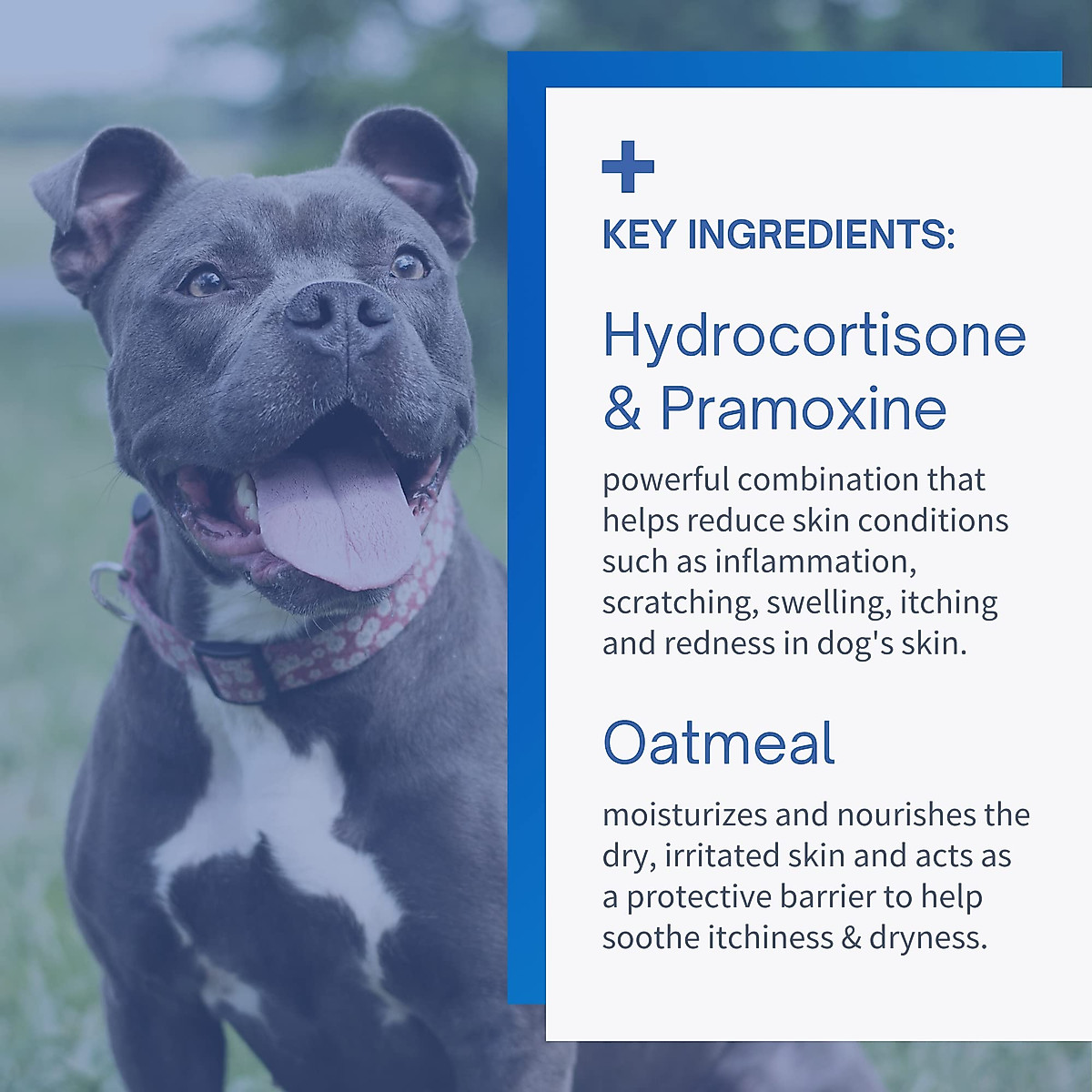 SensoVet Hydrocortisone & Pramoxine Medicated Spray for Dogs & Cats - Itch Relief, Insect Bites, Hot Spots (4oz)
