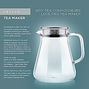 Teabloom One-Touch Tea Maker, 2-in-1 Kettle and Tea Steeper with Stainless Steel Filter Lid for Loose Tea – Heatproof Glass Teapot (27 Oz) – Tea Connoisseur's Choice
