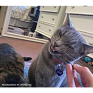 Meowijuana | King Size Silverine Sticks | All Natural Matatabi Chew Sticks | High Potency Cat Treat | Cat Dental Health | Catnip Alternative | Feline and Cat Lover Approved