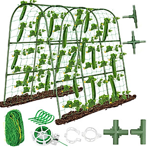 Tetutor Cucumber Trellis for Raised Bed 65"×48", Garden Arch Trellis for Climbing Plants Outdoor, Metal Garden Trellis for Vegetables, Cucumber Trellis for Tomato, Bean, Pea, Grape, Plant, Squash