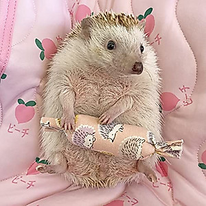 Ymid Select 4 Pcs Hedgehog Mini Pillows Small Animal Toys Habitat Decor Cage Accessories Hedgehog Supplies Photo Props Toy for Ferret ,Rabbit,Bird,Parrot,Mouse,Chinchilla, Rat,Gerbil,Dwarf Hamster