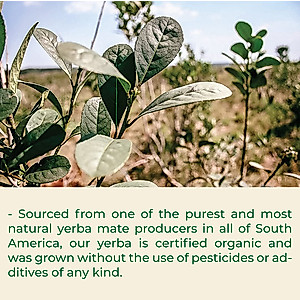 Mate Starter Pack - Mate Gourd - Milonga Yerba Mate - Easy to remove yerba - No curation necessary (Black, Narrow)