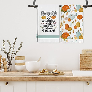 AnyDesign 4 Pack Fall Kitchen Dish Towel Thanksgiving Leaves Pumpkins Tea Towels 18 x 28 Inch Autumn Rustic Vintage Fall Harvest Dishcloth Hand Drying Cloth Towel for Holiday Kitchen Cooking Baking