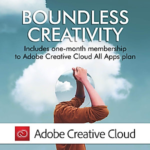 LaCie Rugged RAID 4TB, Thunderbolt and USB 3.0 Portable Hard Drive (STFR4000800) (Renewed)