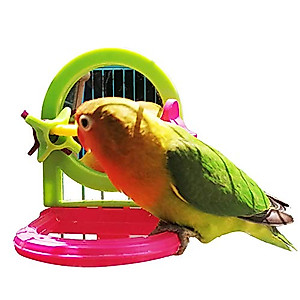 Bird Mirror Toys with Paddle Wheels and Perch for arrot Budgies Parakeet Cockatiels Conure Lovebirds