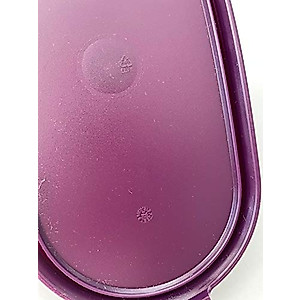 Tupperware Dewberry Oval Seal for Modular Mates, Bold Oval, Food Storage Container Seal, 7 inches (L) x 3.5 inches (W) x 3.5 inches (H), 1 Count