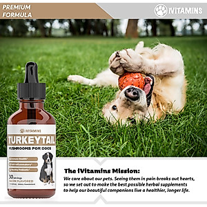 Turkey Tail Mushroom for Dogs | Helps to Boost the Immune System, is a Healthy Prebiotic, & Much More | Turkey Tail for Dogs | Mushrooms for Dogs | Dog Mushroom Supplements | 1 fl oz
