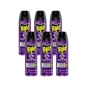 Raid Flea Killer Carpet and Room Spray (16 Ounce (Pack of 6))