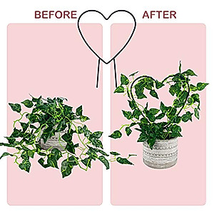 MIXXIDEA Metal Trellis for Climbing Plants Outdoor Decorative Small Trellis for Potted Plants Rust Proof Garden Plant Trellis for Pots Heart Shaped Pack of 2 - Black