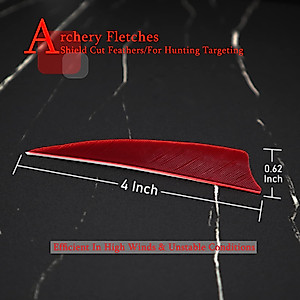 Hosolee 4 Inch Right Wing Real Feathers Archery Fletches for DIY Arrows Hunting Targeting (25 Pack)