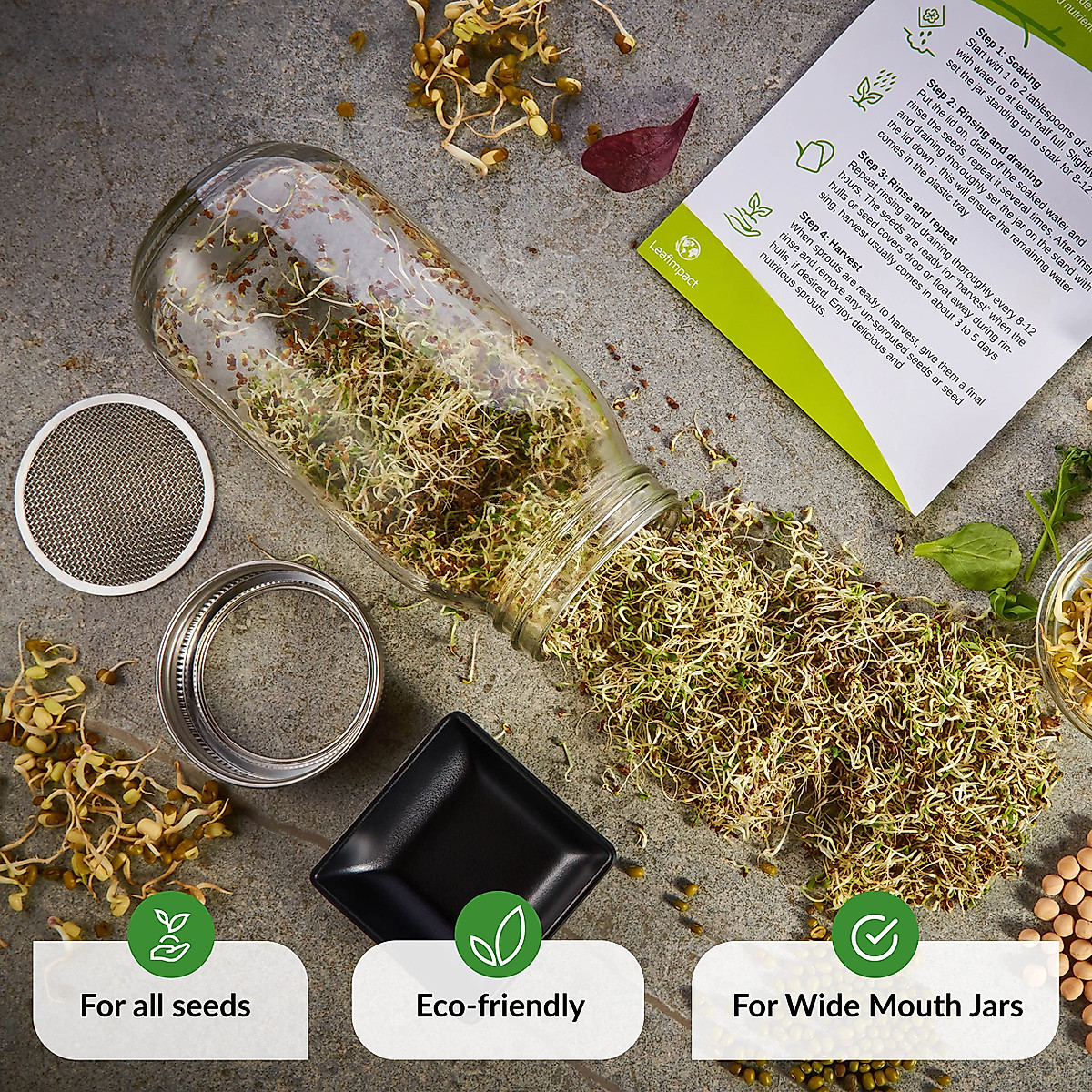 2 Pack Seed Sprouting Jar Lids | For 3.38" Wide Mouth Mason Jars | Fresh Sprouts at Home | Strainer Screen for Canning Jars | 304 Stainless Steel Lid for Growing Broccoli, Alfalfa, Beans & More