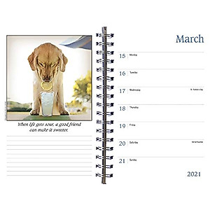 2021 Dogma: A Dogs Guide to Life 16-Month Weekly Planner