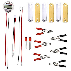 Skelang Fruit Battery Science Experiment Kit with Electronic Clock for DIY Home Teaching Toy , School Science Project, Education Subject