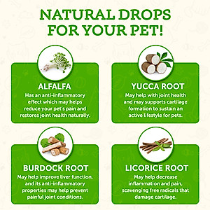 Animal Essentials Joint Support for Dogs & Cats- Joint Supplement, Liquid Joint Formula, Glucosamine, Organic Herbs, Veterinarian Recommended- 2 Fl Oz