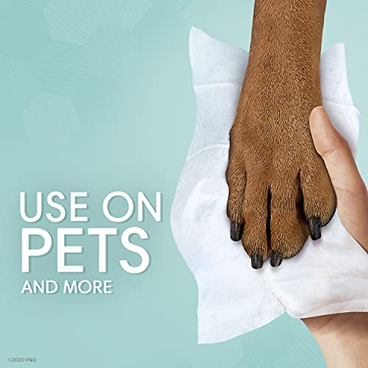 Baby Wipes, Pampers Expressisons Botanical Rain Scented, 1X Pop-Top Pack, 56 Count