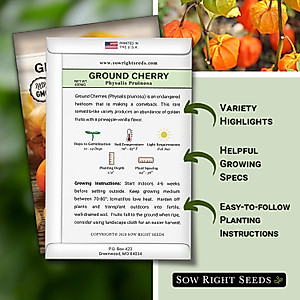 Sow Right Seeds - Ground Cherries Seeds for Planting - Non-GMO Heirloom Packet with Instructions to Plant an Outdoor Home Vegetable Garden - Mexican Husk Tomato - Endangered Variety (1)