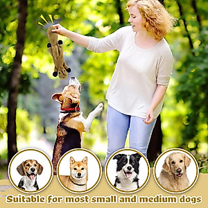 Alphatool Squeaky Dog Toy - Tough No Stuffing Squirrel Toys to Keep Dog Busy, Small Medium Large Dogs, Durable Interactive Plush Puppy Toys for Birthday Gift