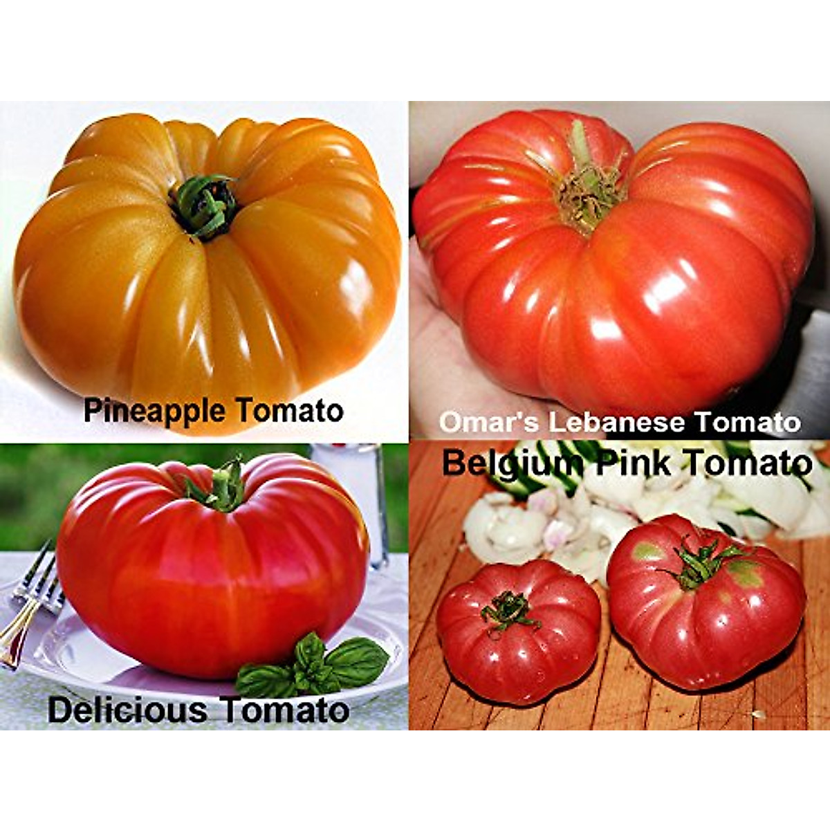 Mixed Seeds! 30 Giant Tomato Seeds, Mix of 19 Varieties, Heirloom Non-GMO, Brandywine Black, Red, Yellow & Pink, Mr. Stripey, Old German, Black Krim, from USA
