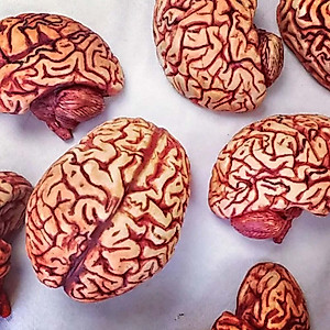 WOPODI Silicone Brain Shape Mold Halloween Humans Brain Cake Molds Realistic Internal Body Organs Fondant Cakes Mould Baking Candy Chocolate Pudding Dessert Jelly Sugar for Halloween Party Props