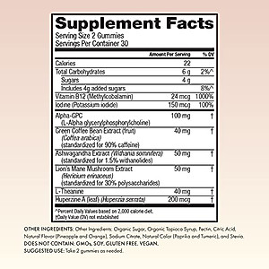 Winged Rise Up Gummies | Energy & Brain Boost Supplement | Natural Caffeine, Ashwagandha & B12 for Energy | Nootropics Alpha-GPC, Lion’s Mane & Huperzine A for Focus | Pineapple Flavor (30 Servings)