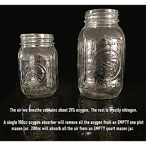 400 pc lot of 100cc oxygen absorbers for food storage: Food grade oxygen absorbers for canning, mylar bags, long term storage, and survival.