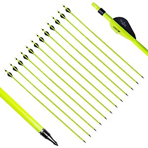 12Pcs 31'' Fluorescent Yellow Pure Carbon Arrows with Replaceable Points for Compound Bow and Recurve Bow Hunting and Target Practice