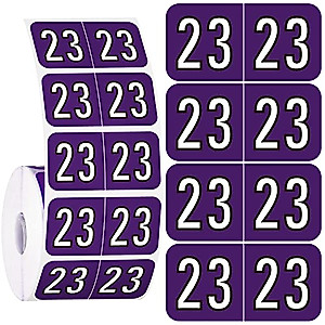 500 Pieces 2023 Year Stickers File Folder Year Labels Rectangle Coded Colored Year Stickers Self Adhesive Year Labels End Tab File Folders Office Supplies, 1 Roll (Purple, 1'' x 1/2")