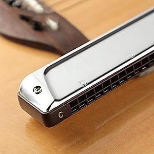 WAAZVXS Harmonica Key C 24 Holes Harp Phosphor Bronze Reeds ABS Comb Musical Instruments Professional (Color : 2430 Key C)