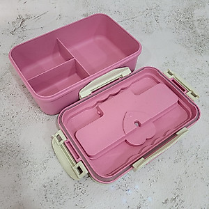 AEMUYA Lunchboxes The perfect bento lunch box for your healthy meals
