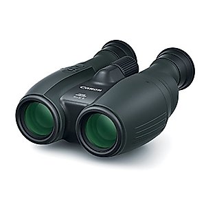 Canon Cameras US 14X32 is Image Stabilizing Binocular, Black (1374C002)