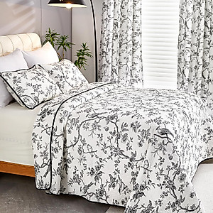 EVENHUG 100% Cotton Quilt Queen Size Black Bird Bedding Set Double Printing Lightweight Quilt Reversible Coverlet Bedspread with Pillow Shams All Seasons 3 Pieces (92"x96")