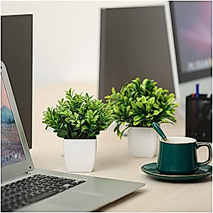 CADNLY Mini Artificial Plants Set - Faux Plants Indoor Small Fake Plants for Bathroom Office Desk - Green Plants Fake Potted Plants - Plastic Small Plants Decor for Shelf Shelves 3 Pack