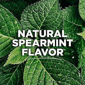 Tom's of Maine Whole Care Natural Toothpaste with Fluoride, Spearmint, 4 oz. 3-Pack