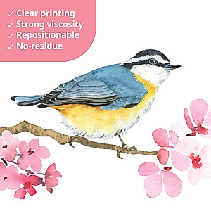 DECOWALL DS-8039 Cherry Blossom & Garden Birds Kids Wall Stickers Wall Decals Peel and Stick Removable Wall Stickers for Kids Nursery Bedroom Living Room (Small) d?cor
