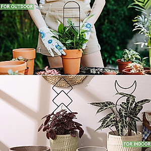4 Pcs Plant Trellis for Climbing Plants Indoor, Small Trellis for Potted Plants,Indoor Plant Trellis for Potted Plants Support Black Garden Trellis for Hoya,Pothos,Flower,Monstera (4PCS Black)