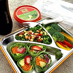 Thinksport GO2 Travel Lunch Container with Airtight Lid and Fork & Spoon| BPA-Free, Stainless Steel Removable Interior, Each Compartment Seals, No Food Migration - Orange, GO2ORANGE