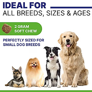 Advanced Hemp Calming Chews for Dogs - Dog Calming Chews - 120 Anxiety Relief Treats - Hemp Oil - Dog Calming Treats - Sleep Calming Aid - Calming Hemp Treats for Joint Health