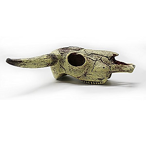 Leoyoubei Aquarium Decoration, Fish Tank Small Skull,Fish Turtle Hidden, Bonsai beautification. Cave Landscape Pet Reptile House Shrimps & Snails Love Them (Cattle Skull)
