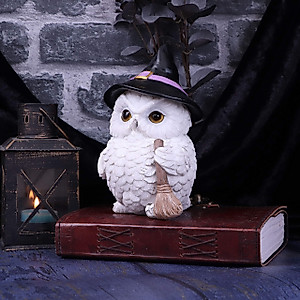 Nemesis Now Snowy Magic Witch Owl Familiar Figurine, 18cm, White