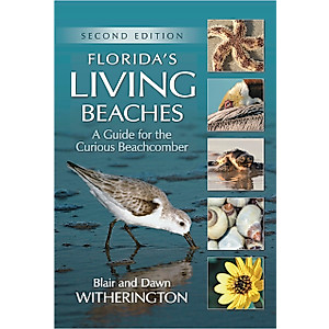 Florida's Living Beaches: A Guide for the Curious Beachcomber