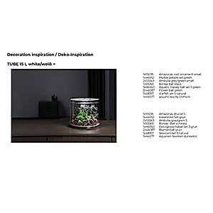 biOrb Ambulia Small Grey/Green