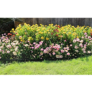 Gardzen 1.5" x100' Landscape Edging Kit, Garden Edging Coil Comes with 120 Pcs Spikes, No Dig Lawn Border Design