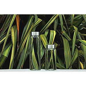 Kablo 32 oz Glass Water Bottle, 100% Borosilicate Glass, BPA Free, Leak-Proof Stainless Steel Lid, Wide Mouth, Eco-Friendly (2nd Generation)