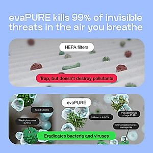 Evapolar Mini Air Purifier for Desk - Rechargable Portable Personal Air Purifier for Car - Cordless Small Air Cleaner for Car Evapure