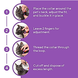 Cat Calming Collar & Pet Anti Anxiety Products - Feline Calm Pheromones Collars & Cats Stress Relief - Relaxivet Comfort Helps with Pee, New Zone, Aggression, Fighting with Dogs & Other Behavior