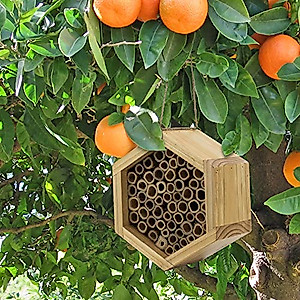 KIBAGA Mason Bee House - Handmade Natural Bamboo Bee Hive Attracts Peaceful Bee Pollinators to Enhance Your Garden's Productivity - The for Garden Lovers