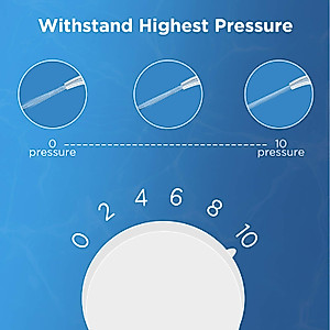 Replacement Tips for Waterpik Water Flosser (2 Classic Jet Tips + 2 Orthodontic Tips + 2 Plaque Chaser Tips+ Storage Case Combo)