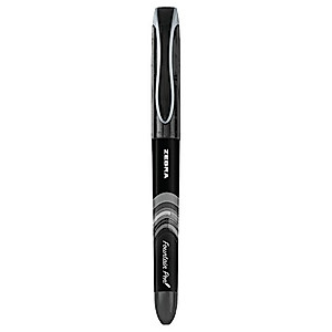 Zebra Pen Zensations Fountain Pen Set, Fine Point 0.6mm, Black Non-Toxic Ink, Stainless Steel Nib, Disposable, 2-Pack (04112)